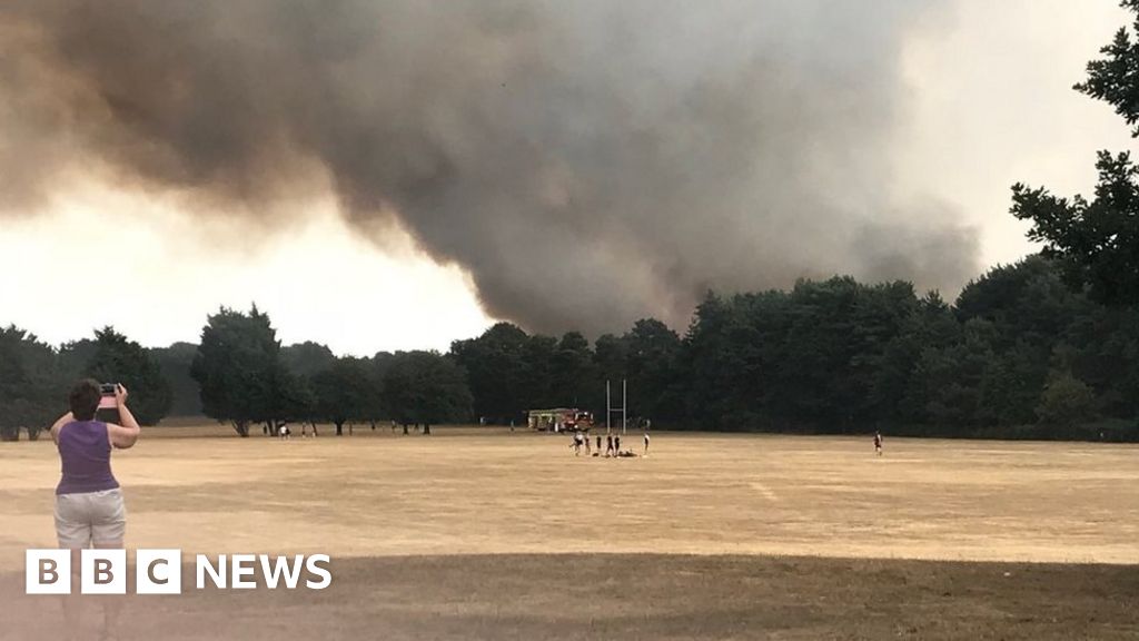 Ferndown Common heathland fire reignites - BBC News