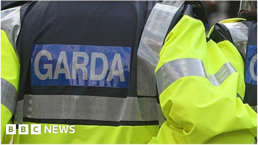 Sean Conlan arrest: Fine Gael politician released without charge - BBC News