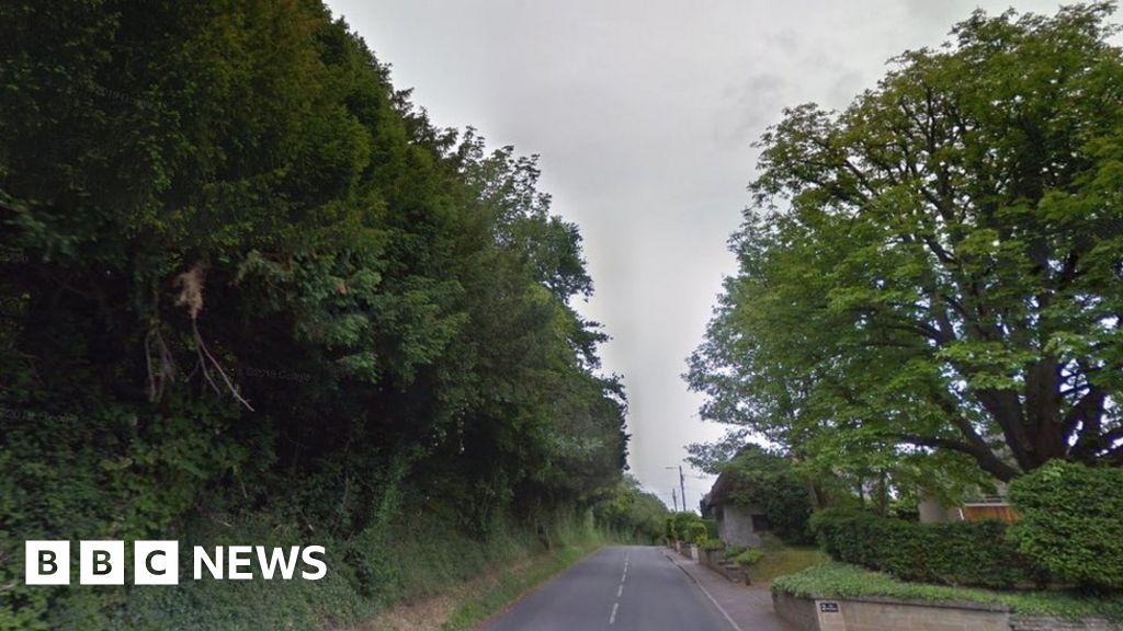 Catapult fired at police dog Elvis in car theft chase - BBC News