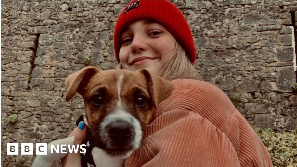 Coronavirus: 'Reading about virus online makes me anxious' - BBC News