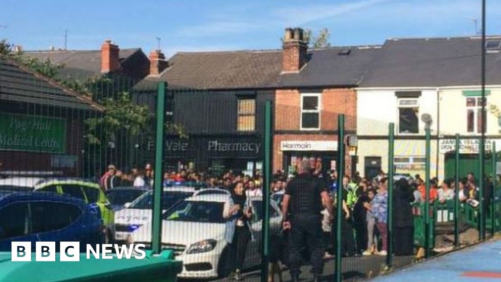 Sheffield Fir Vale school fight: Two injured and school closed - BBC News