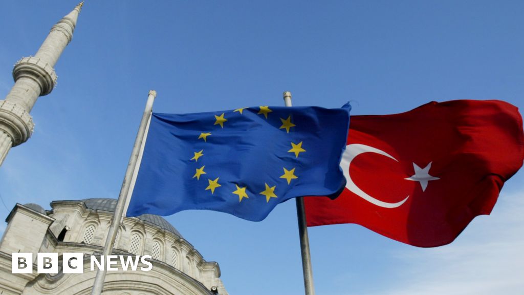Reality Check: Is banning Turkish rallies EU policy? - BBC News
