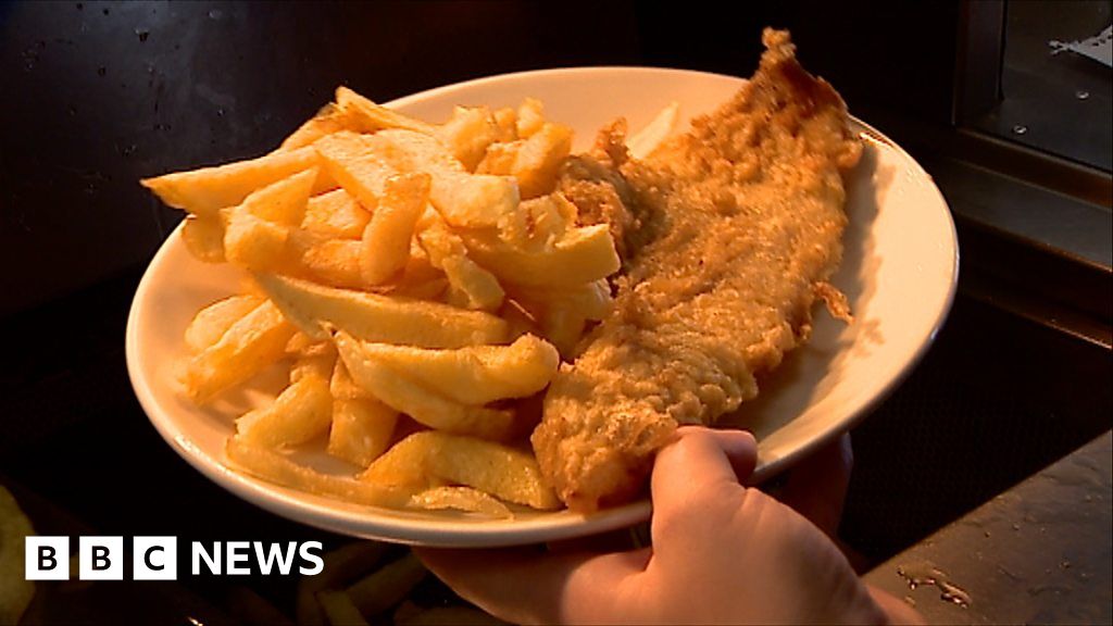 North Sea cod 'recovers' from overfishing - BBC News
