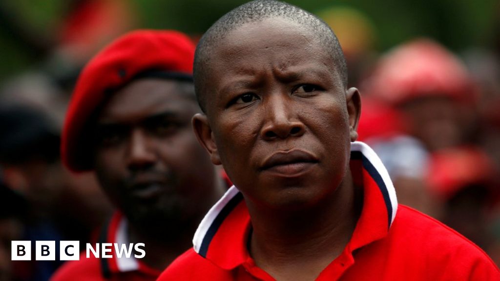 South Africa's Julius Malema challenges apartheid-era law - BBC News
