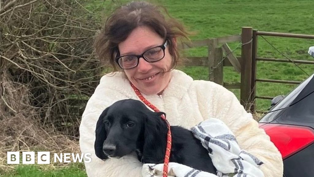 Dog missing in Burton Dassett found thanks to drone - BBC News