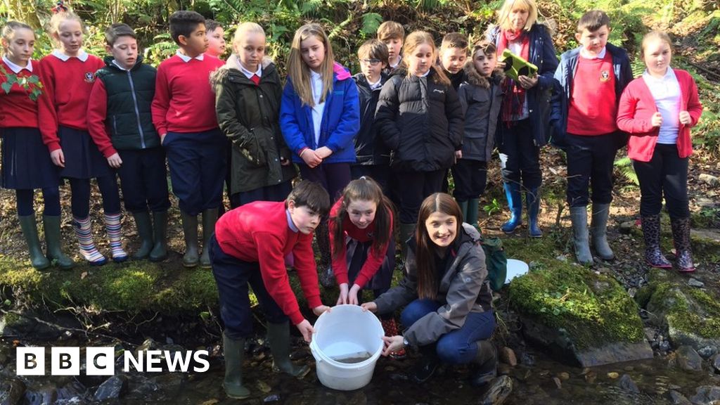 Environmental projects: £2m to develop 'love of nature' for young ...