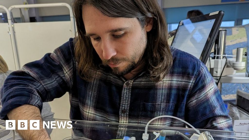 Royal Sussex: Grieving father unlikely to get compensation for baby's ...