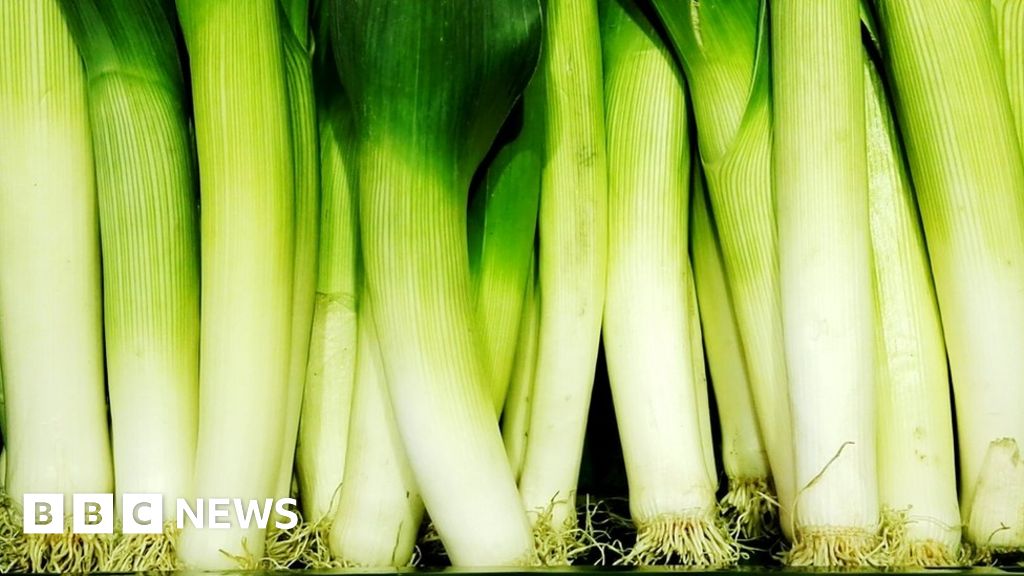 Leeks mistaken for machete spark Aberdeen police probe