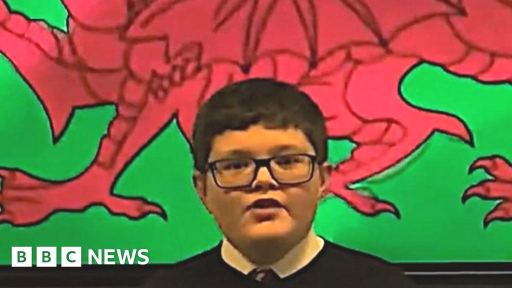 World Cup 2022: Boy's 'thundering daffodils' Wales poem - BBC News