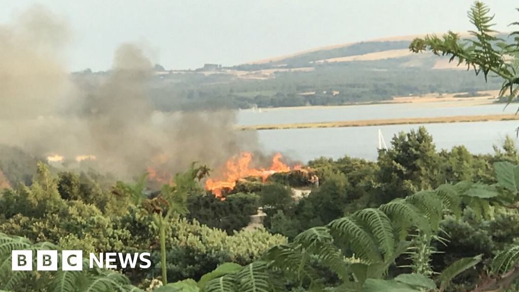 Wildfires break out on Dorset heath commons - BBC News