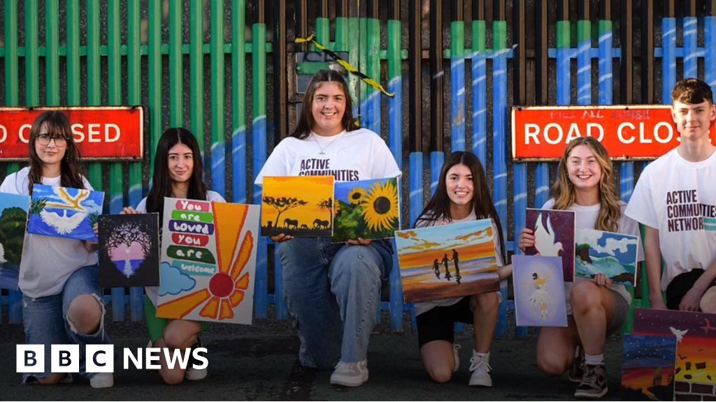 The young people separated by Belfast's 'peace gate' - BBC News