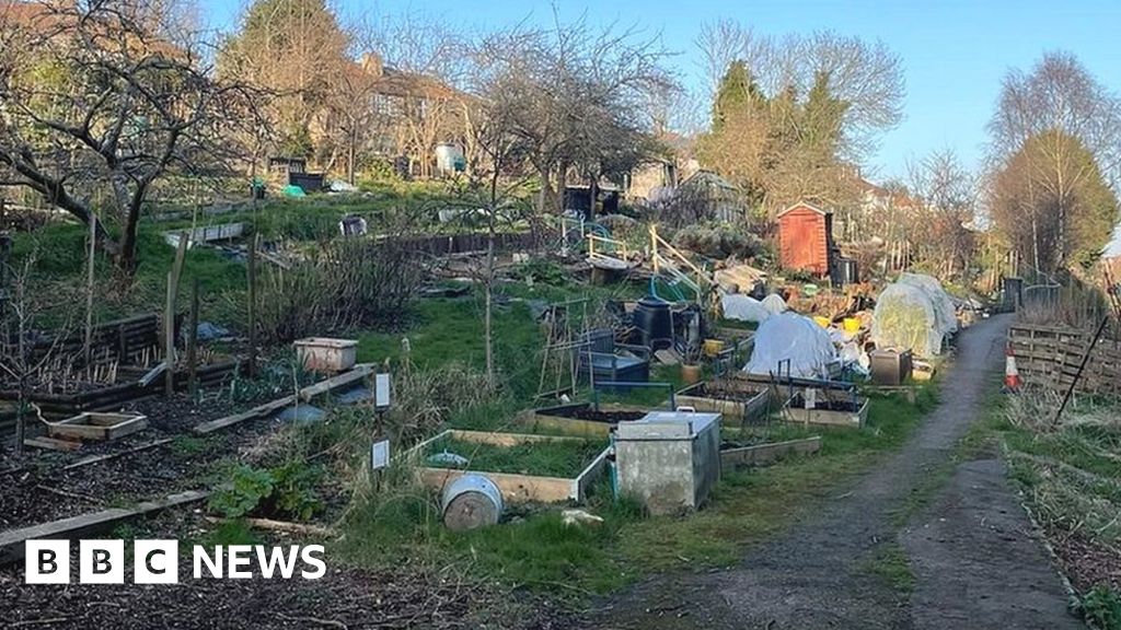 Bristol allotment rent set to more than double - BBC News
