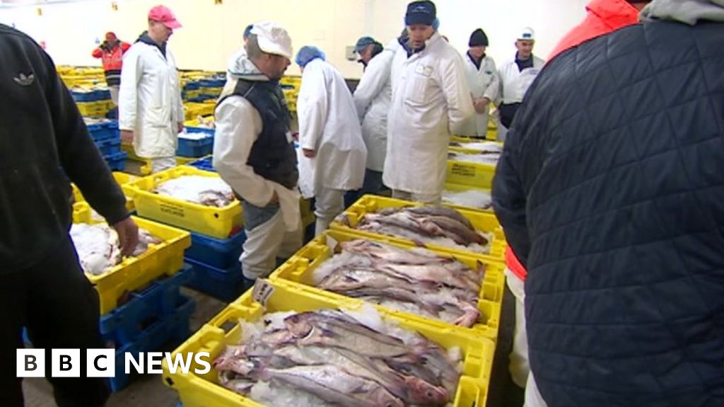 Grimsby hit by Icelandic fishing strike - BBC News