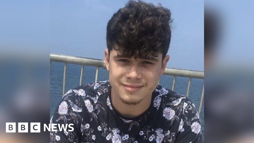 Dylan Garbe-Ashton died in police custody after fall - BBC News