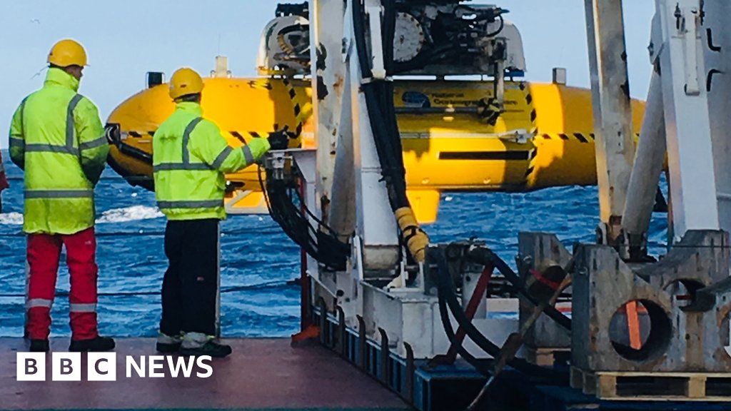 New coral growths found at damaged deep sea reef off Scotland - BBC News