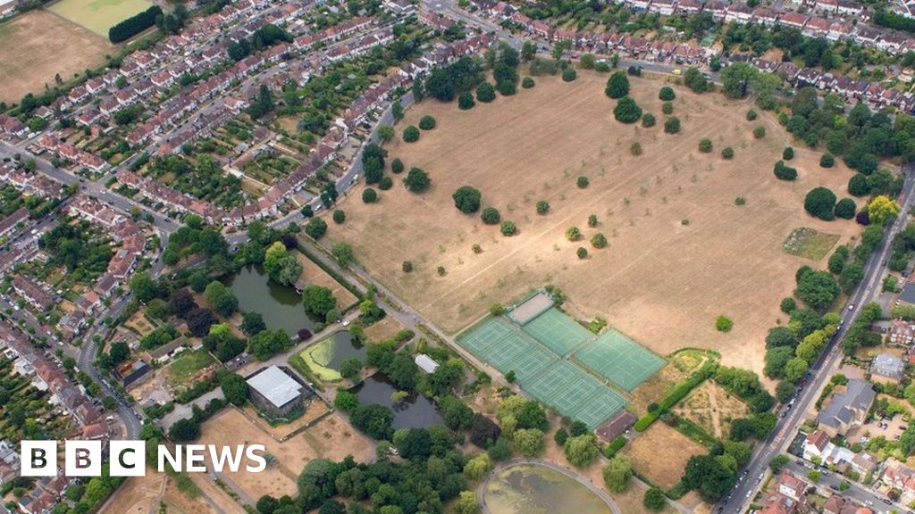 The dramatic effect of the UK heatwave - BBC News