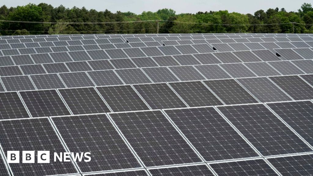 Leicestershire solar farm to power 8,000 homes - developers - BBC News