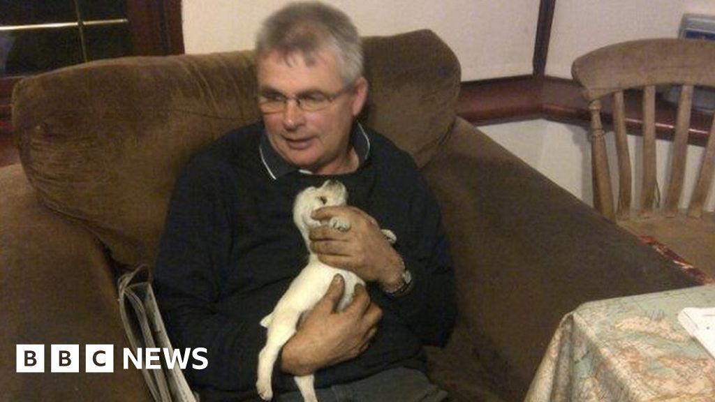 Covid: 'Pressure' led to Wrexham care home owner's suicide