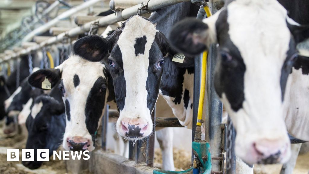 Climate change: What would you be prepared to do?