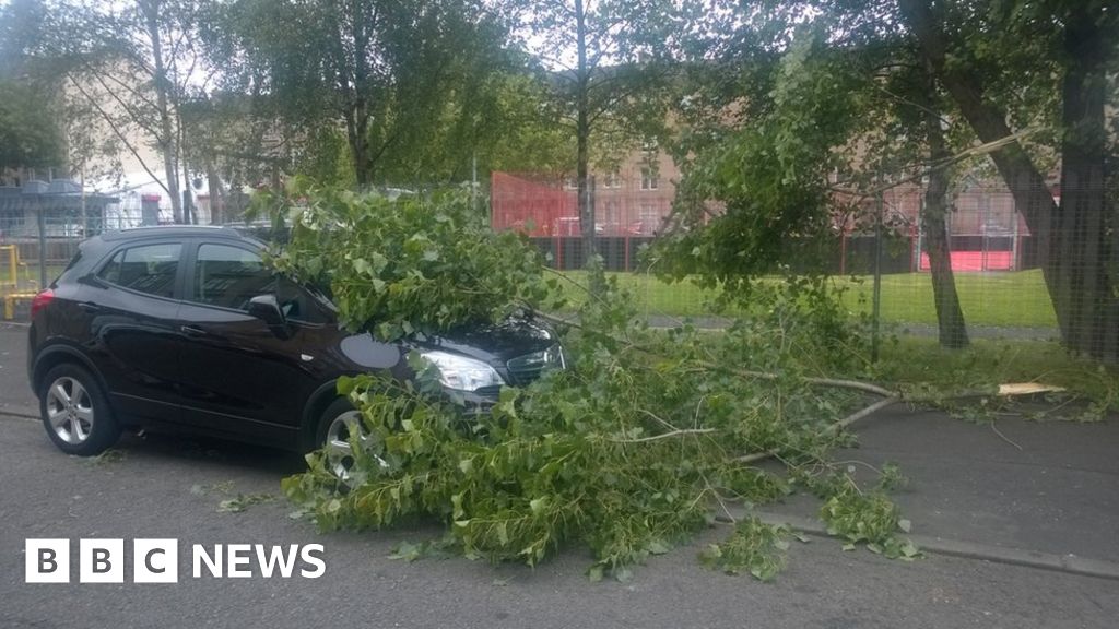 Disruption as summer winds batter Scotland - BBC News