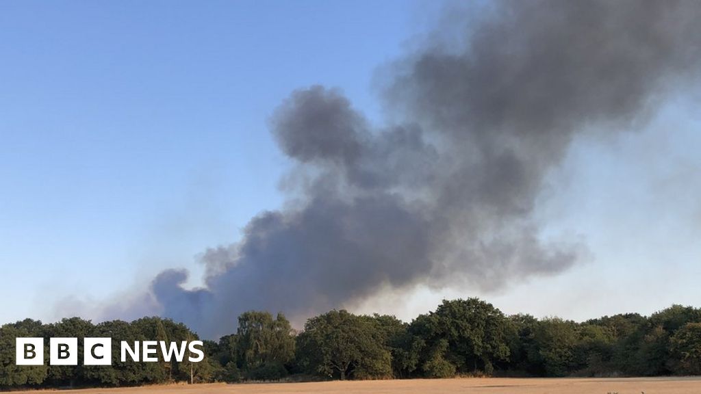 Dartford fire: Public urged to avoid damaged heath - BBC News