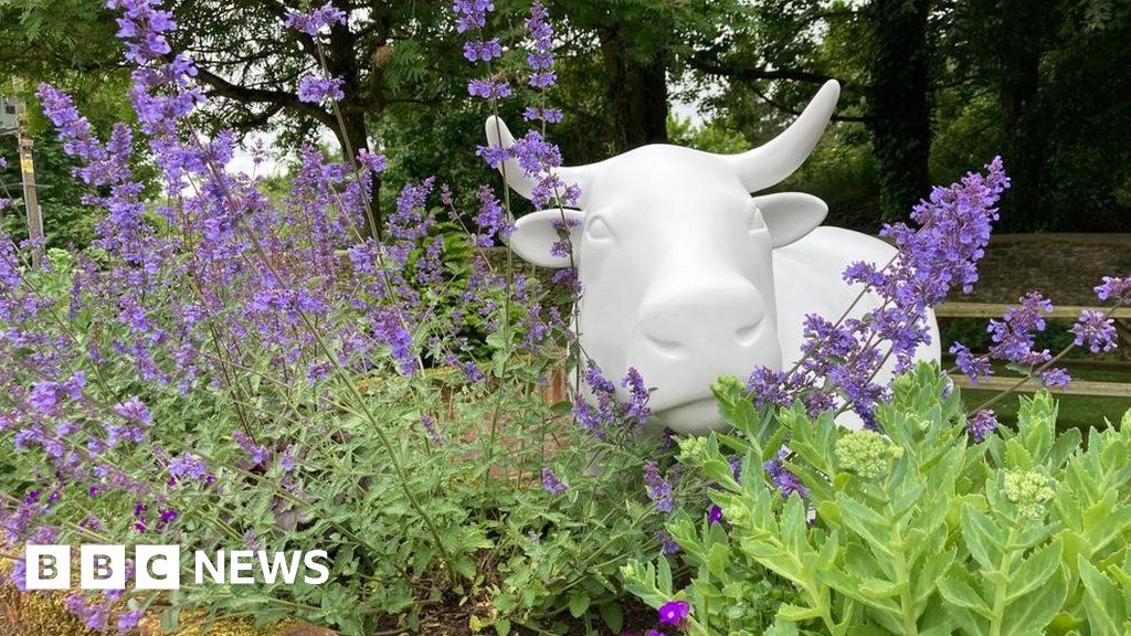 Oxford life-sized ox sculpture trail to open in 2024 - BBC News