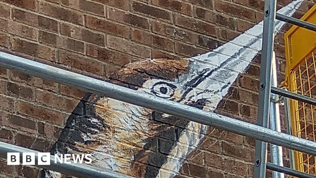 Lowestoft: Street artist ATM creates bird mural - BBC News