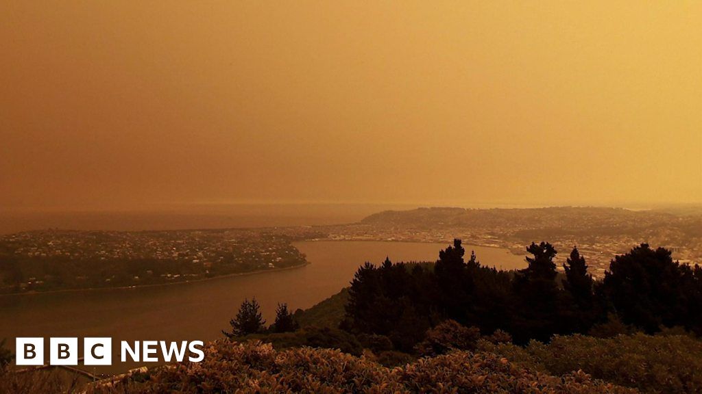 Australia fires: New Zealand suffers from bushfire smog - BBC News