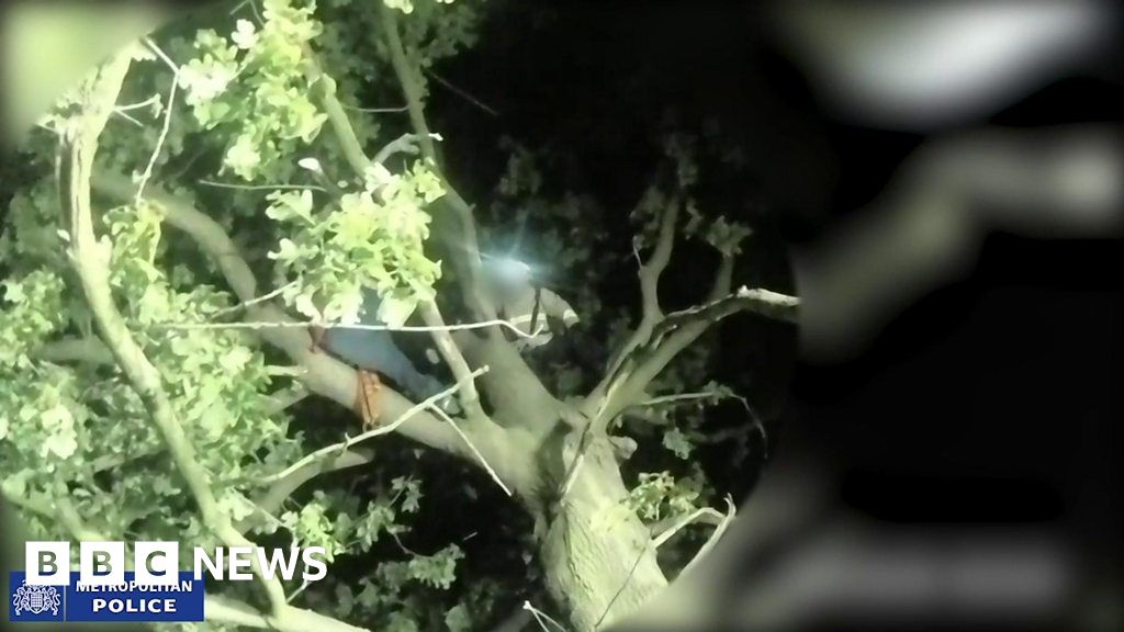 Footage of Joseph McCann being arrested up a tree in Cheshire