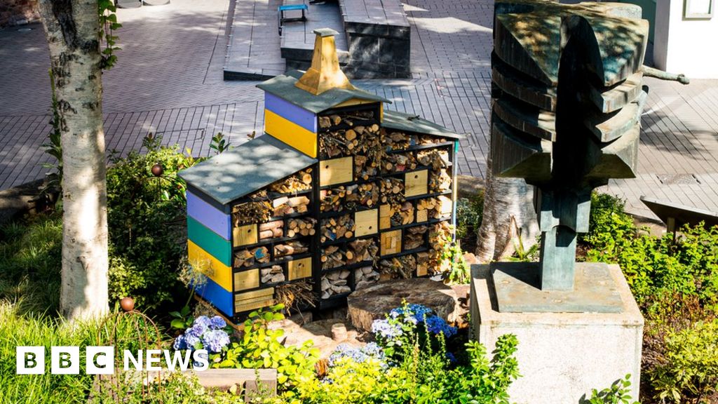 Buzzing bug hotel set up in Exeter shopping centre - BBC News