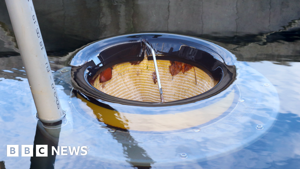 Floating 'seabin' to catch at Falmouth Harbour - BBC News
