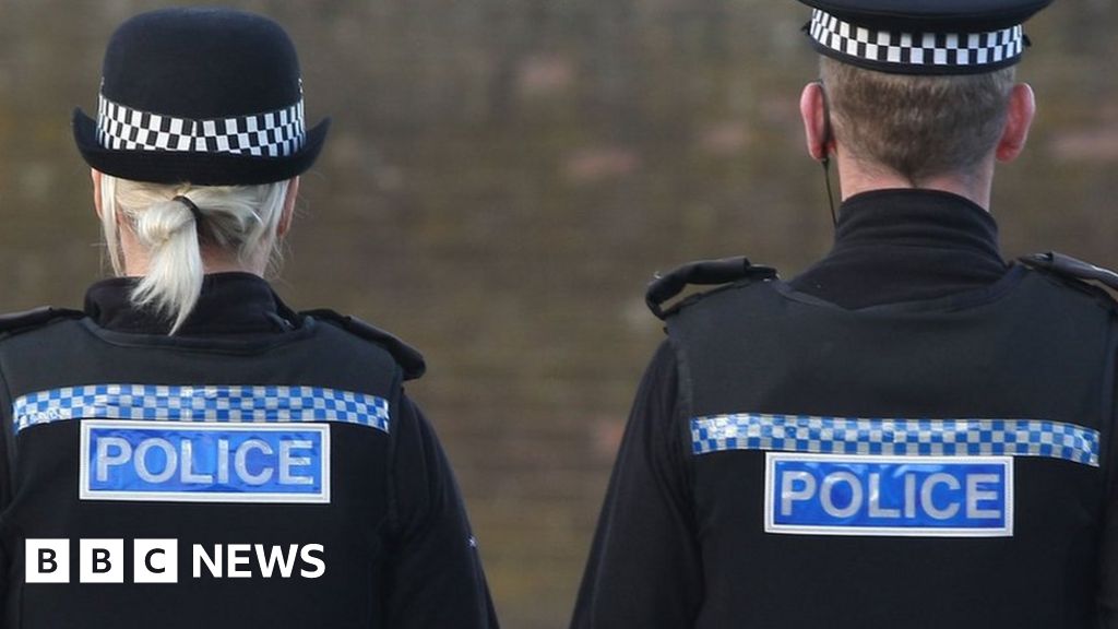 Police cuts risk 'dramatic' variations, senior officer claims - BBC News