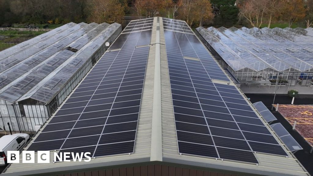 Solar panels at Guernsey charity HQ to 'power 40 homes' - BBC News