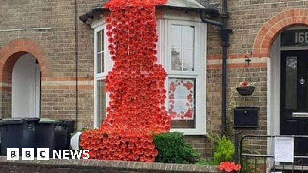 Remembrance poppy display in Dorchester raises £1,400