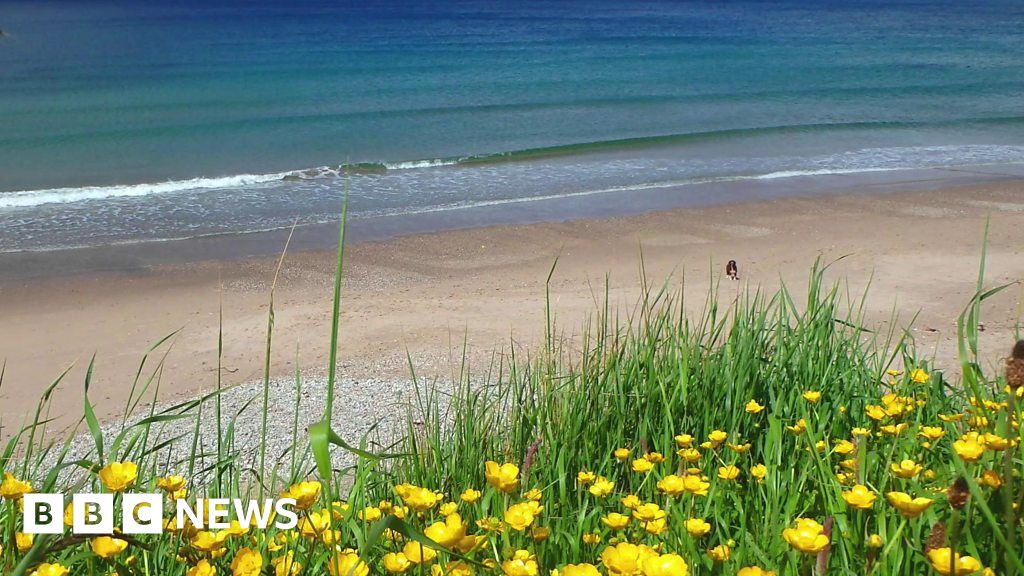 BBC News NI pictures of the week - BBC News