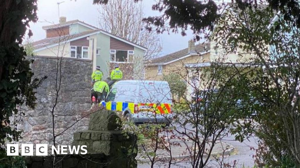 Yatton attack: Man, 33, held after pair seriously hurt - BBC News