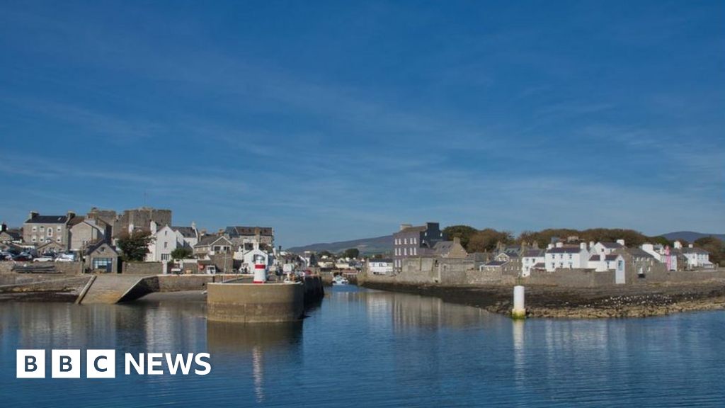 Bird flu confirmed in dead wild goose found in Castletown Harbour - BBC ...