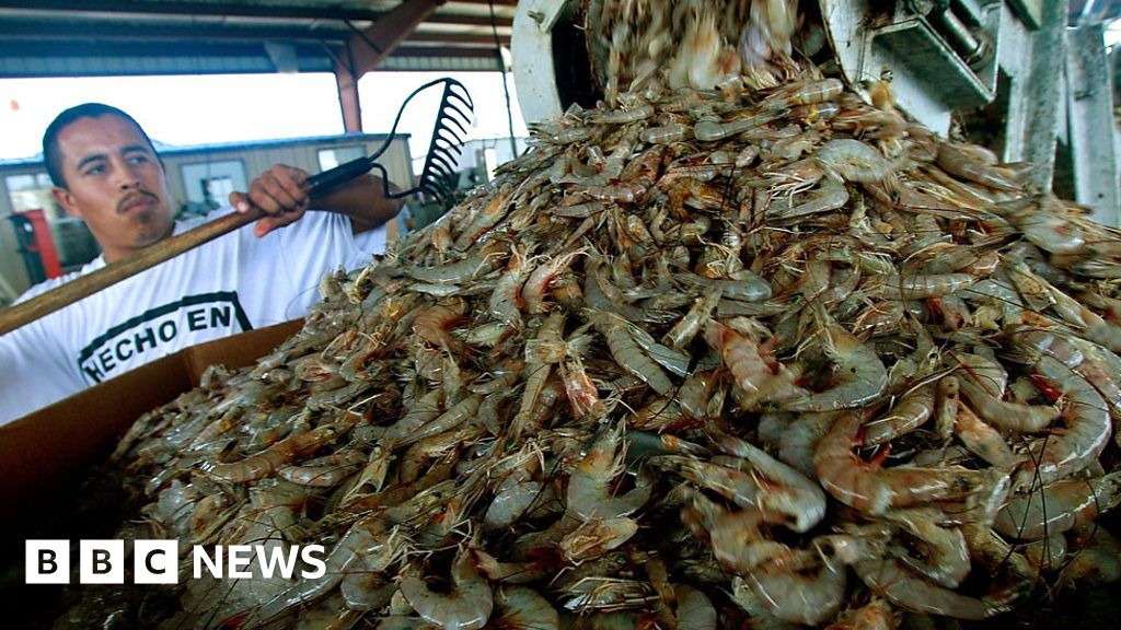 Us Fishermen Hope For Trump Lifeline