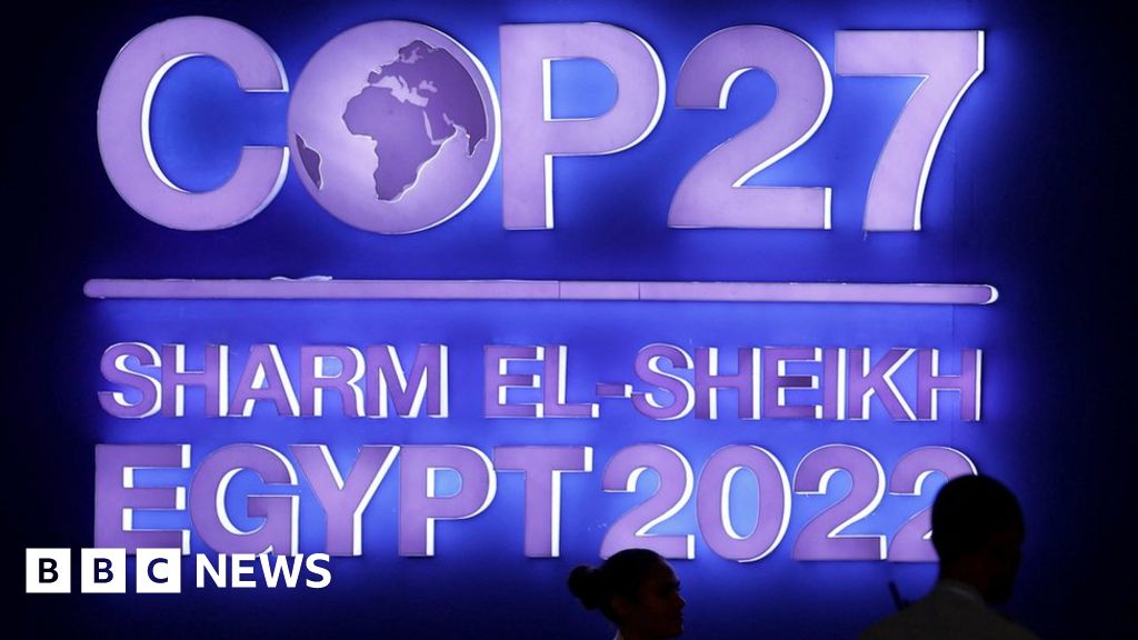 Climate change: Wales ministers not at COP27 'to limit air miles' - BBC News