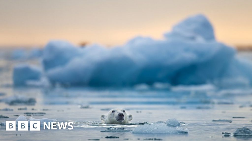 Climate change: The everyday actions that can help save the planet ...