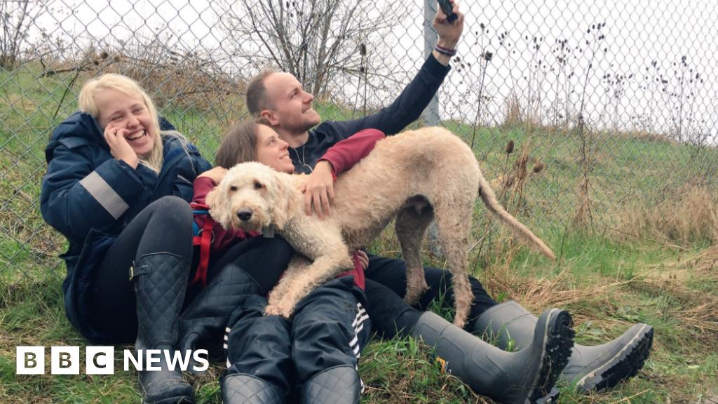 Labradoodle Cooper reunited with owner after boarding wrong flight ...