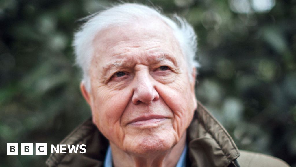 Sir David Attenborough to present climate change documentary - BBC News