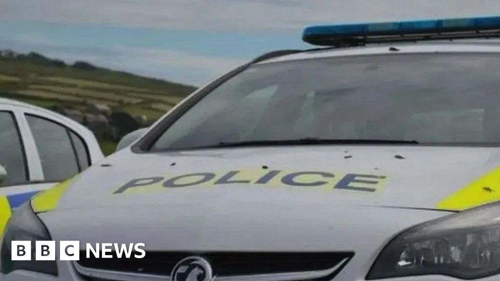 Woman, 82, injured after car hits tree at Branscombe