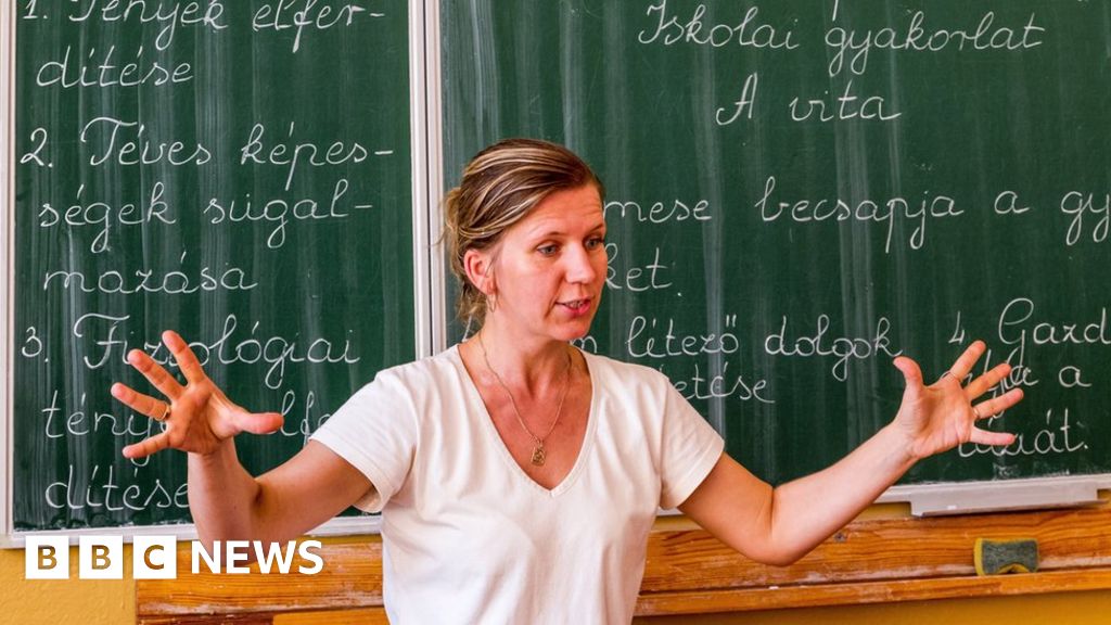 Hungary in language dispute with Ukraine over schools - BBC News