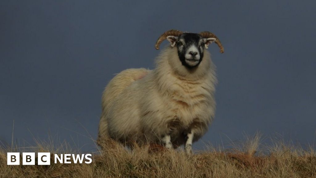 Your pictures of Scotland: Photographs from around the country