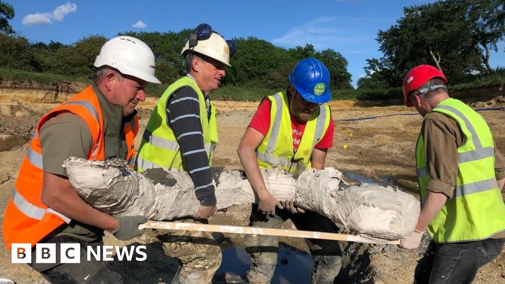 'Exceptional' mammoth graveyard discovered near Swindon - BBC News