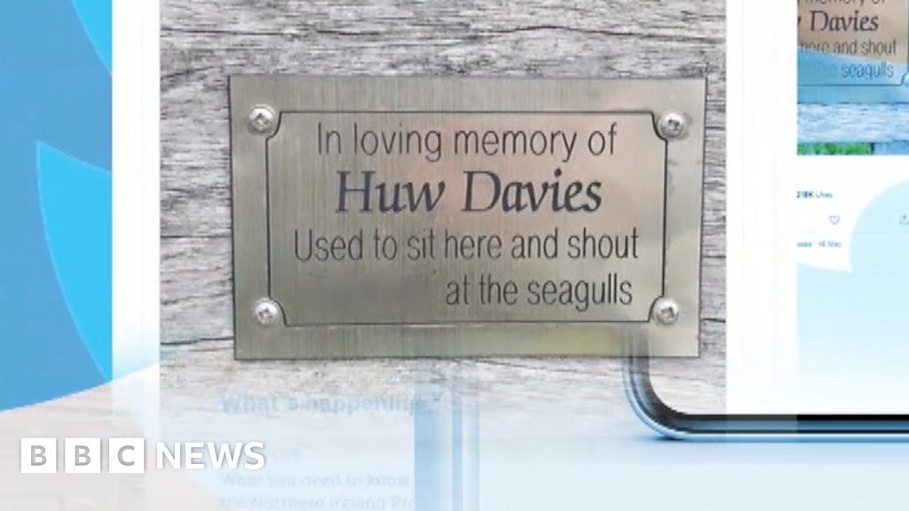 Aberystwyth: Rude seagull sign taken off bench - BBC News