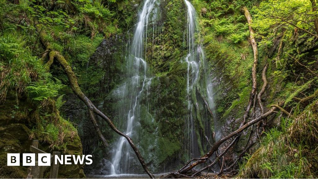 Risk of falling trees closes section of Isle of Man national glen - BBC ...