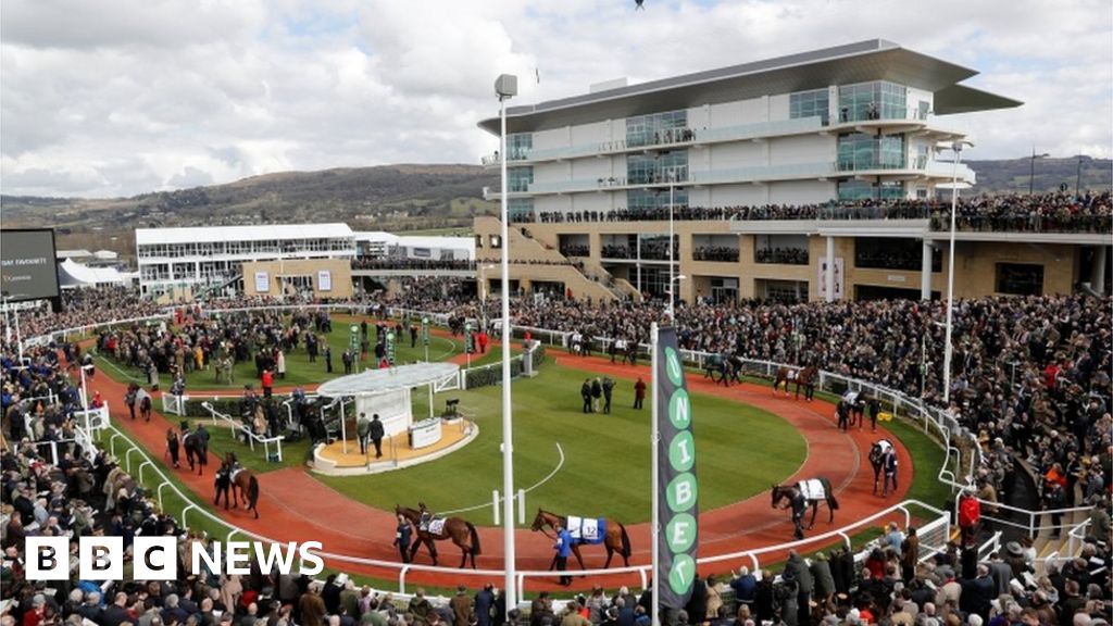 Hard Brexit could make for heavy going at Cheltenham - BBC News