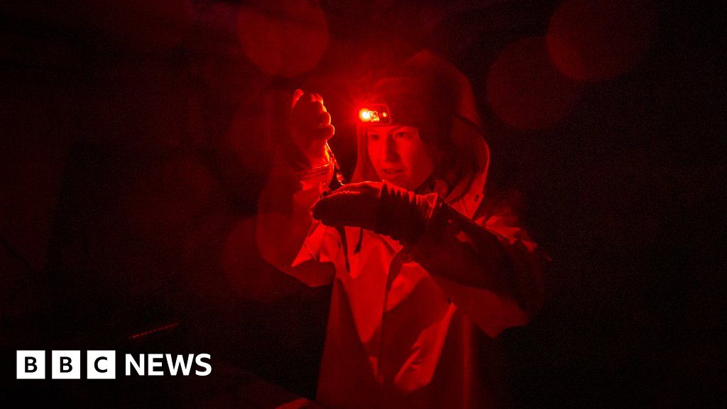 Oban-based scientists in deep sea Arctic life study - BBC News